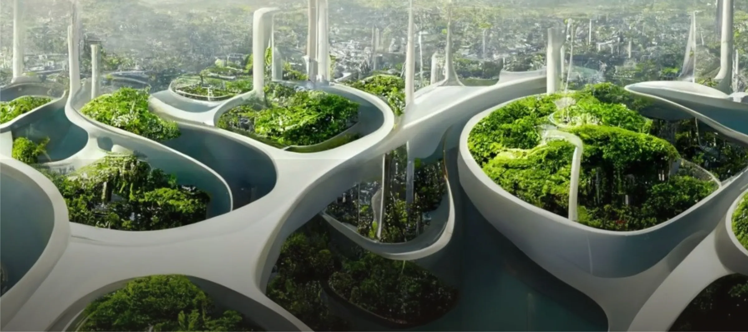 THE GUIDER CLEANOVATION